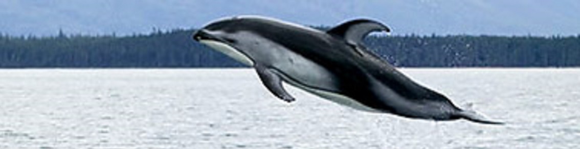 The ‘agile dolphin’ plan: Boris Johnson’s meta-narrative vision for ...